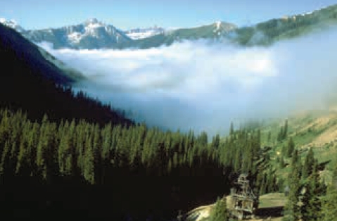 Fog – June-Young Lee